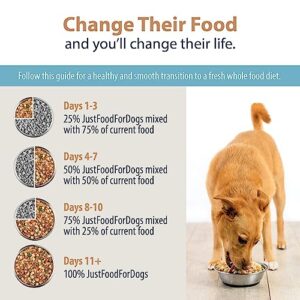 JustFoodForDogs DIY Human Quality Dog Food, Nutrient Blend Base Mix for Dogs - Chicken and White Rice Recipe (7.93oz) -Packaging May Vary