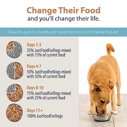 JustFoodForDogs DIY Human Quality Dog Food, Nutrient Blend Base Mix for Dogs - Chicken and White Rice Recipe (7.93oz) -Packaging May Vary