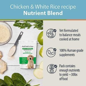 JustFoodForDogs DIY Human Quality Dog Food, Nutrient Blend Base Mix for Dogs - Chicken and White Rice Recipe (7.93oz) -Packaging May Vary