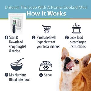 JustFoodForDogs DIY Human Quality Dog Food, Nutrient Blend Base Mix for Dogs - Chicken and White Rice Recipe (7.93oz) -Packaging May Vary