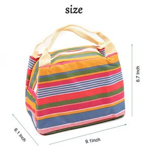 Lunch Bag Lunch Organizer for office Lunch Cooler with Zip Closure Foldable Lunch Tote Bag, Reusable Lunch Holder Insulated Lunch Container Picnic Bag for Men Women