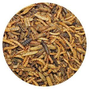 EZ-Worms (1.41 oz.) - Blend of Dried Mealworms & Black Soldier Fly Larvae (BSFL) - Healthy Insect Treat - Chickens, Bluebirds, Sugar Gliders, Hedgehogs, Squirrels, Skunks, Reptiles, Turtles, Fish