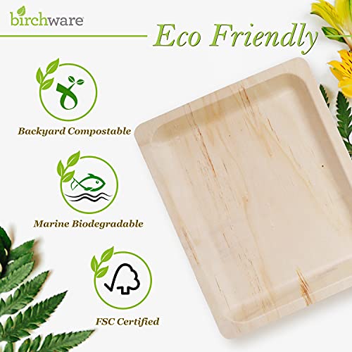 Birchware 50 - Large Compostable Wooden Platter, Party and Craft Supplies