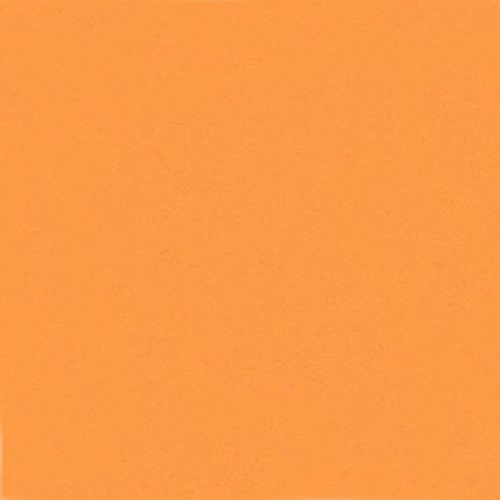 Pumpkin Orange Cardstock - 8.5 x 11 inch - 65Lb Cover - 50 Sheets - Clear Path Paper