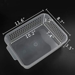 Qskely Rectangular Plastic Storage Organization Trays Baskets in Clear, 6-Pack