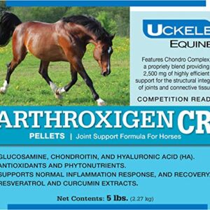 Uckele Arthroxigen CR Pellets for Horses, Joint Supplement, No Devil's Claw, 5 lb