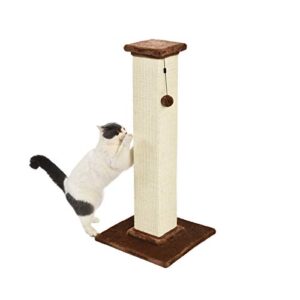 amazon basics tall cat scratching post with jute fiber and brown carpet, large, 16’’ x 16’’ x 35’’