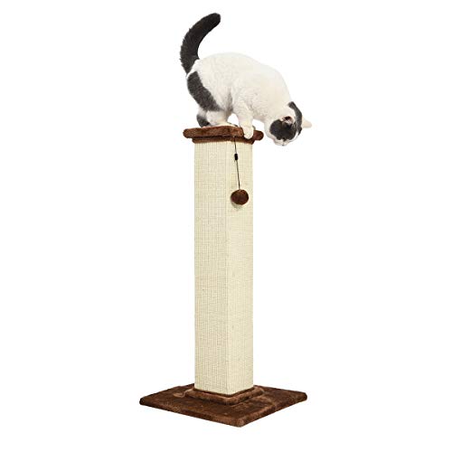 Amazon Basics Tall Cat Scratching Post with Jute Fiber and Brown Carpet, Large, 16’’ x 16’’ x 35’’