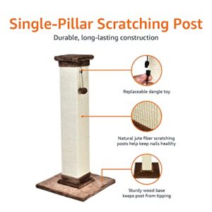 Amazon Basics Tall Cat Scratching Post with Jute Fiber and Brown Carpet, Large, 16’’ x 16’’ x 35’’