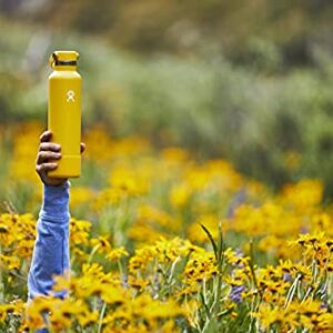 Hydro Flask Wide Mouth Flex Sip Lid Bottle - Stainless Steel Reusable Water Bottle - Vacuum Insulated, Dishwasher Safe, BPA-Free, Non-Toxic