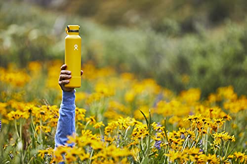 Hydro Flask Wide Mouth Flex Sip Lid Bottle - Stainless Steel Reusable Water Bottle - Vacuum Insulated, Dishwasher Safe, BPA-Free, Non-Toxic