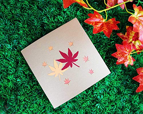 TIMMOR MAGIC 3D Pop Up cards, Golden Maple Tree Cards, Birthday Cards, Mom Cards, Thank you Cards, Greeting Cards (Golden Maple)