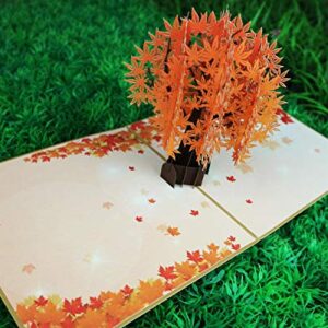 TIMMOR MAGIC 3D Pop Up cards, Golden Maple Tree Cards, Birthday Cards, Mom Cards, Thank you Cards, Greeting Cards (Golden Maple)