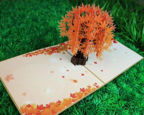 TIMMOR MAGIC 3D Pop Up cards, Golden Maple Tree Cards, Birthday Cards, Mom Cards, Thank you Cards, Greeting Cards (Golden Maple)