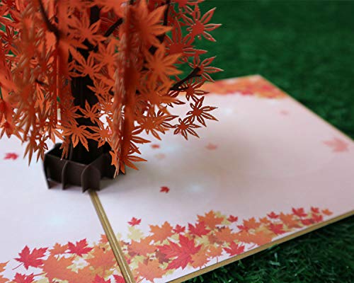 TIMMOR MAGIC 3D Pop Up cards, Golden Maple Tree Cards, Birthday Cards, Mom Cards, Thank you Cards, Greeting Cards (Golden Maple)