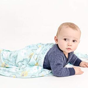 Alphabetz Alphabetz Premium, Soft Baby Boy Blanket, Blue Elephants, 2 Ply Extreme Softness and Comfort