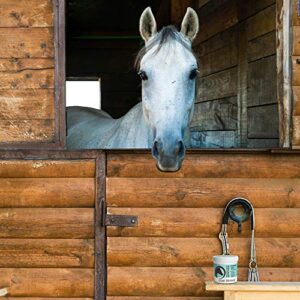 COAT DEFENSE Trouble Spot Drying Paste for Horses - Natural Equine Wound Care That Provides Safe & Effective Relief from Scratches, Sweet Itch, Summer Sores, Proud Flesh, Mud Fever, Girth Rot (10 Oz)