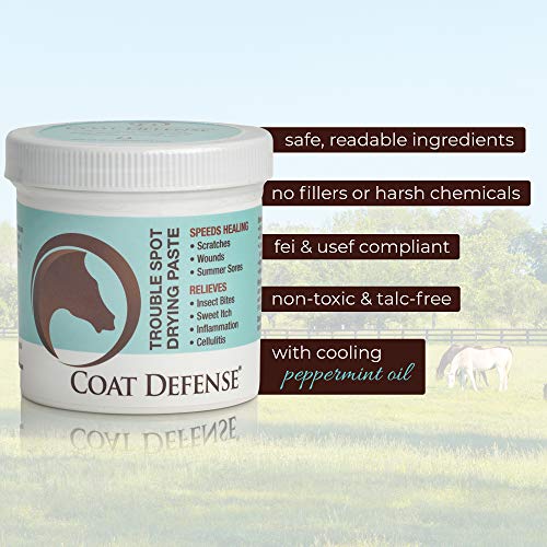 COAT DEFENSE Trouble Spot Drying Paste for Horses - Natural Equine Wound Care That Provides Safe & Effective Relief from Scratches, Sweet Itch, Summer Sores, Proud Flesh, Mud Fever, Girth Rot (10 Oz)