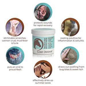 COAT DEFENSE Trouble Spot Drying Paste for Horses - Natural Equine Wound Care That Provides Safe & Effective Relief from Scratches, Sweet Itch, Summer Sores, Proud Flesh, Mud Fever, Girth Rot (10 Oz)