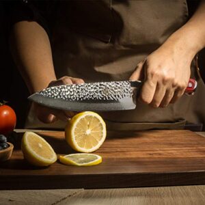 Hammered Damascus Chef Knife, 8" Pakka Wood Handle 67-layer Full Tang Damascus Kitchen Knife with Professional Japanese VG10 Super Steel Core