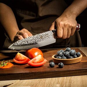 Hammered Damascus Chef Knife, 8" Pakka Wood Handle 67-layer Full Tang Damascus Kitchen Knife with Professional Japanese VG10 Super Steel Core