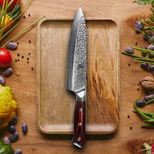 Hammered Damascus Chef Knife, 8" Pakka Wood Handle 67-layer Full Tang Damascus Kitchen Knife with Professional Japanese VG10 Super Steel Core