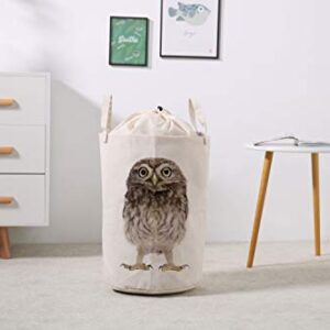 LifeCustomize Laundry Hamper Basket Little Owl Print Folding Nursery Clothing Storage Bins with Handles