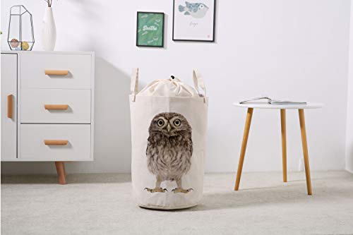 LifeCustomize Laundry Hamper Basket Little Owl Print Folding Nursery Clothing Storage Bins with Handles