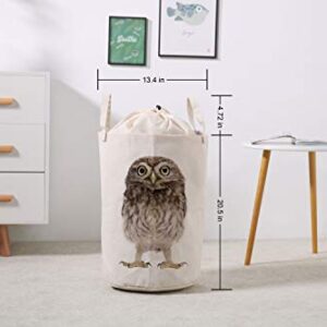 LifeCustomize Laundry Hamper Basket Little Owl Print Folding Nursery Clothing Storage Bins with Handles