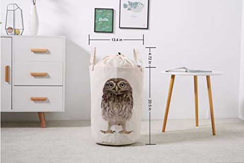 LifeCustomize Laundry Hamper Basket Little Owl Print Folding Nursery Clothing Storage Bins with Handles