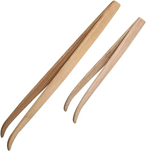 ASOCEA Reptile Bamboo Tweezers Lizard Feeder Tongs Feeding Tools for Bearded Dragons Lguanas Lizards Turtles Geckos Corals(Pack of 2)