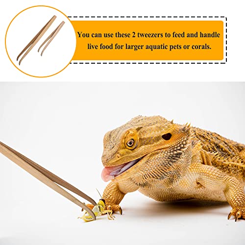 ASOCEA Reptile Bamboo Tweezers Lizard Feeder Tongs Feeding Tools for Bearded Dragons Lguanas Lizards Turtles Geckos Corals(Pack of 2)