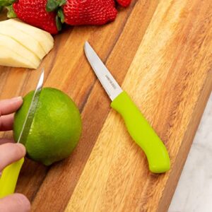 Brenium Paring and Garnishing Knife, 12-Piece Set, Knives with Straight Edge 3 Inch Blade, Stainless Steel, Spear Point, Fruit and Vegetable Cutting and Peeling, Green