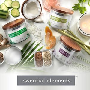 Essential Elements by Candle-lite Scented Candles Wild Fig & Tobac Fragrance, One 9 oz. Single-Wick Aromatherapy Candle with 50 Hours of Burn Time, Off-White Color