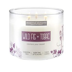 Essential Elements by Candle-Lite Company Scented Wild Fig & Tobac 3-Wick Jar Candle, 14.75 oz, Off White