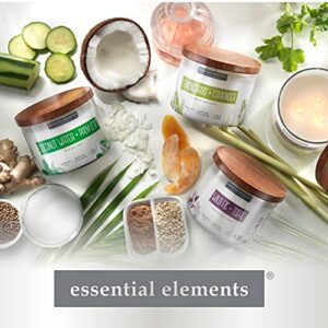 Essential Elements by Candle-lite Scented Candles, Lemongrass & Coriander Fragrance, One 14.75 oz. Three-Wick Aromatherapy Candle with 45 Hours of Burn Time, Off-White Color