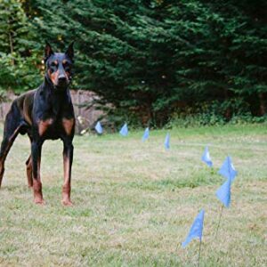 Educator FLAGS-50 Boundary Flags for E-Fence Underground Fence Containment System for Dogs, (Set of 50)