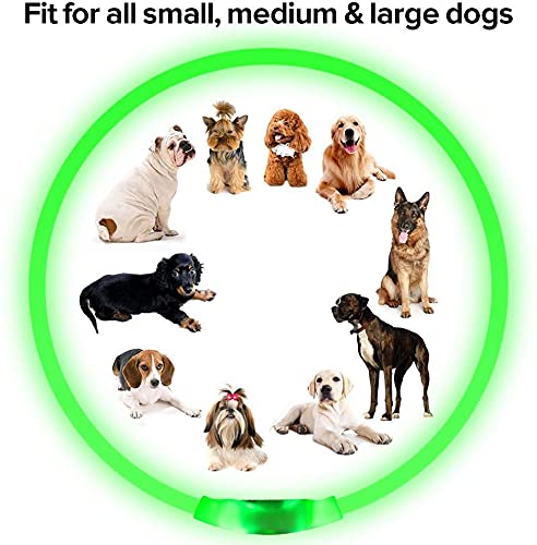 Led Dog Collar, BSEEN USB Rechargeable Flash Dog Necklace Light, Pet Safety Collar Makes Your Beloved Dogs Be Seen at Night for Small Medium Large Dogs