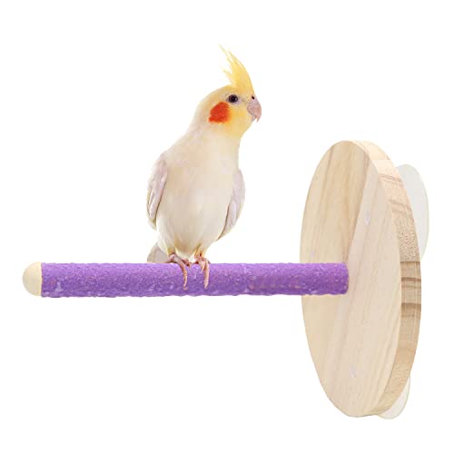 Bird Shower Perch Stand Parrot Bath Suction Cup Window Wall Platform Frame Toys for Small Medium Parrots Parakeet Macaw Cockatoo African Grey Budgies with Scrubbing Wooden Stick (Random Color)