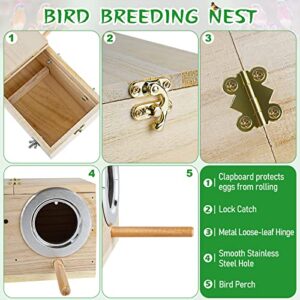 Frjjthchy Parakeet Nesting Box, Bird Nesting Box Wood Cockatiel Nesting Box for Lovebird Cockatiel Budgie Finch Conure Durable Aviary Cage (L)