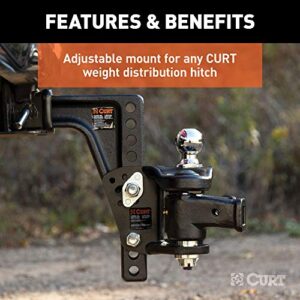 CURT 17132 Replacement Weight Distribution Hitch Shank, 2-1/2-Inch Receiver, 8-Inch Drop