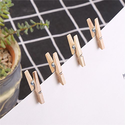 CCINEE 200 Pcs Wooden Craft Clothespins, 1 Inch Bulk Small Sturdy Wood Clips for Hanging Photos Crafts Projects Making