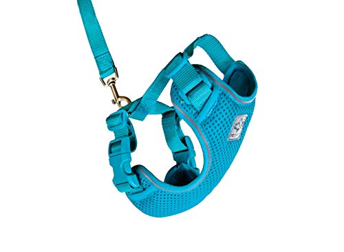 RC Pet Products Adventure Kitty Harness, Cat Walking Harness, Medium, Teal (53804015)