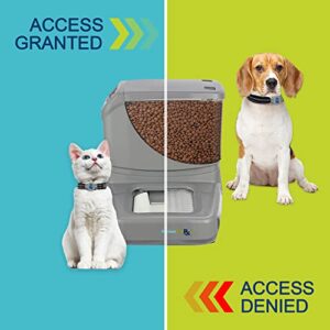 PortionPro Rx Automatic Pet Feeder (for Both Cats and Dogs) - Prevents Food Stealing and Delivers Scheduled Meals