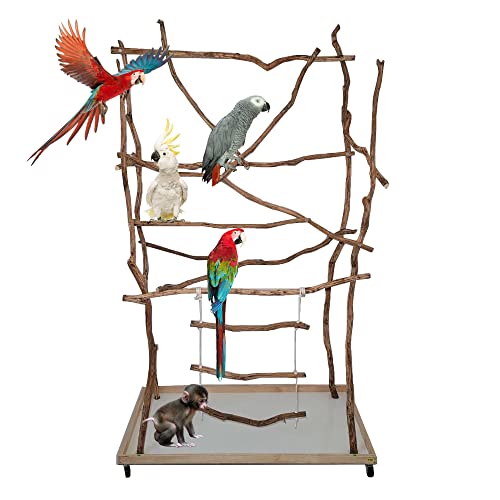 ExoticDad Large Bird Perch - Customize Your Perch Designed Natural Dragonwood Bird Perch on Wheels Stand for Parrots, Birds, Parakeets, Monkeys, Cockatiel, African Grey, Conure (2x4 ft B - 5x6 ft H)