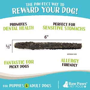 Raw Paws Green Lamb Tripe Sticks for Dogs, 25-Pack - Single Ingredient, Crunchy Green Tripe Lamb Dog Treats - Grass-Fed, Free Range Dehydrated Lamb Tripe for Dogs All Natural Dog Chews