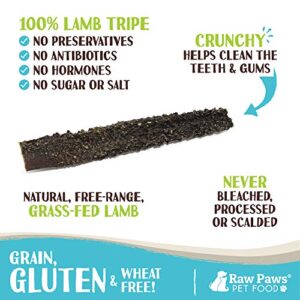 Raw Paws Green Lamb Tripe Sticks for Dogs, 25-Pack - Single Ingredient, Crunchy Green Tripe Lamb Dog Treats - Grass-Fed, Free Range Dehydrated Lamb Tripe for Dogs All Natural Dog Chews