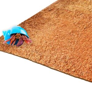 sungrow coco fiber hermit crab & reptile carpet, gecko terrarium liner, and floor bedding substrate & supplies, climbing wall carpet & mat for hermit crabs, 10" x 13", 1 piece per pack