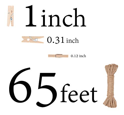 Mini Clothespins | 250 Pieces Mini Clothespins with 65 Feet of Jute Twine | 1-Inch Natural Wooden Clips for Decorations and Gifts by Voatation