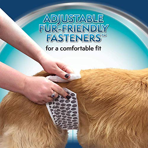 Simple Solution Disposable Dog Diapers for Male Dogs | Male Wraps with Super Absorbent Leak-Proof Fit | Excitable Urination, Incontinence, or Male Marking | Small | 30 Count